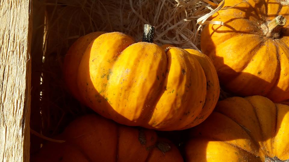 Les légumes, grand amour de Princess H - BREADCRUMB.FR
